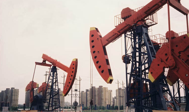 World – Pulse 24 News